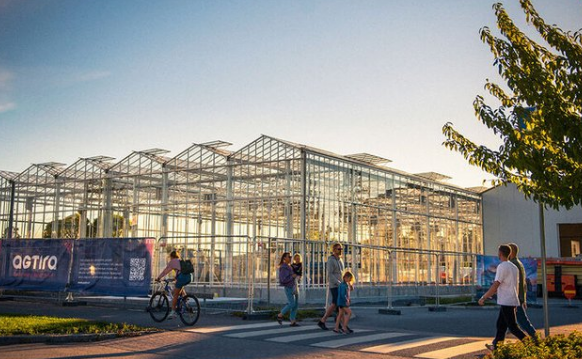 Công ty kỹ thuật nuôi trồng thủy sản định hình lại hoạt động sản xuất thủy sản đô thị