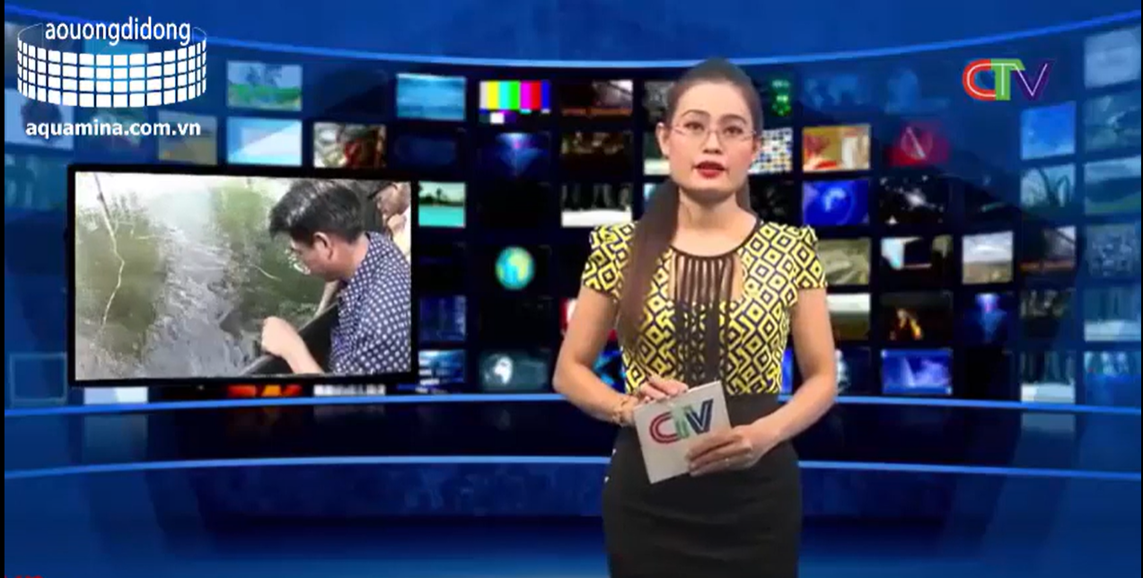 CTV